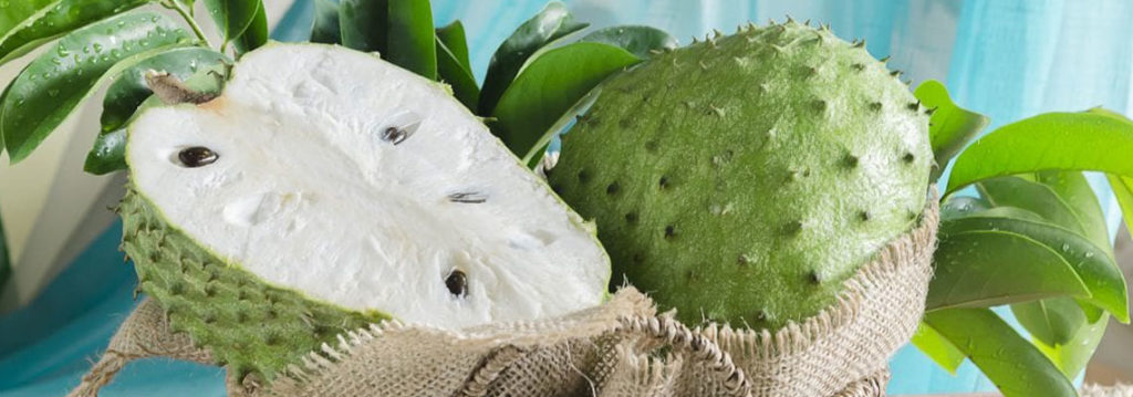 Le corossol, un fruit à multiples vertus