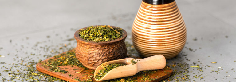 Le maté : la boisson énergisante aux mille vertus